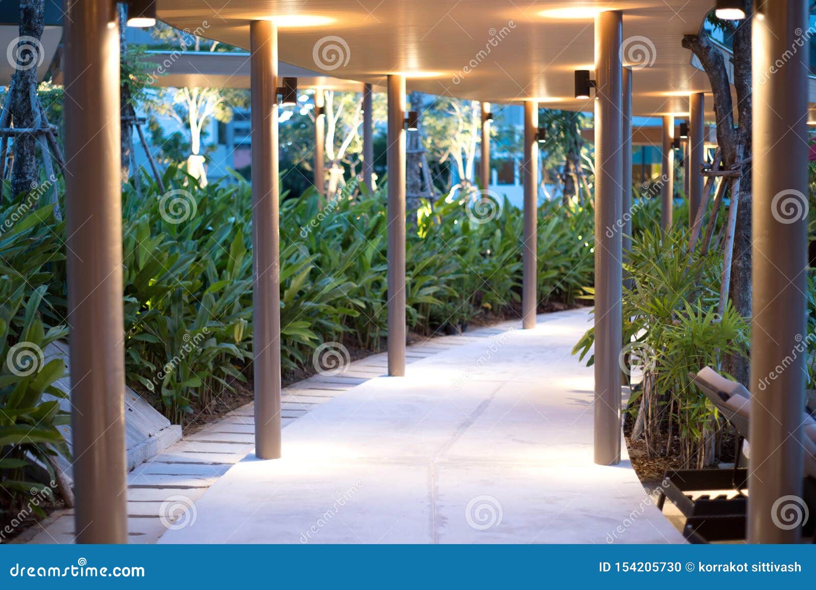 Walkway at Night Lighting Path for Walks in the Hotel Stock Photo ...