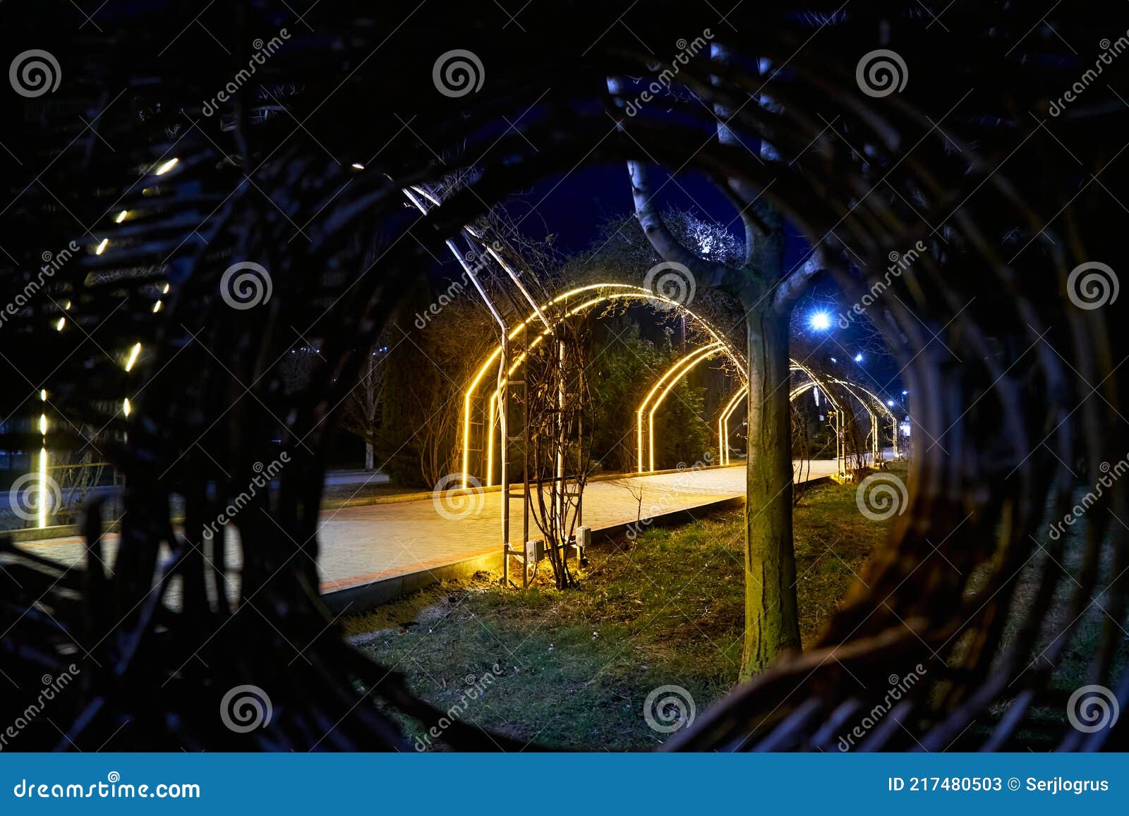 Walkway in a night park stock image. Image of garden - 217480503