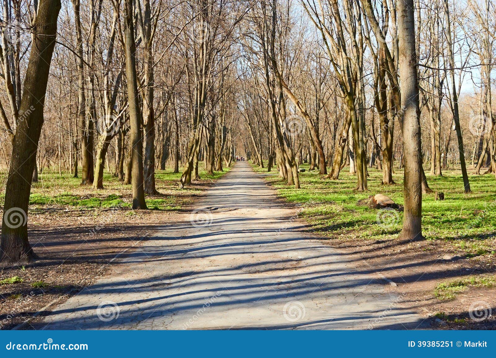 Walkway in the Old Park in Early Spring Stock Image - Image of nature ...