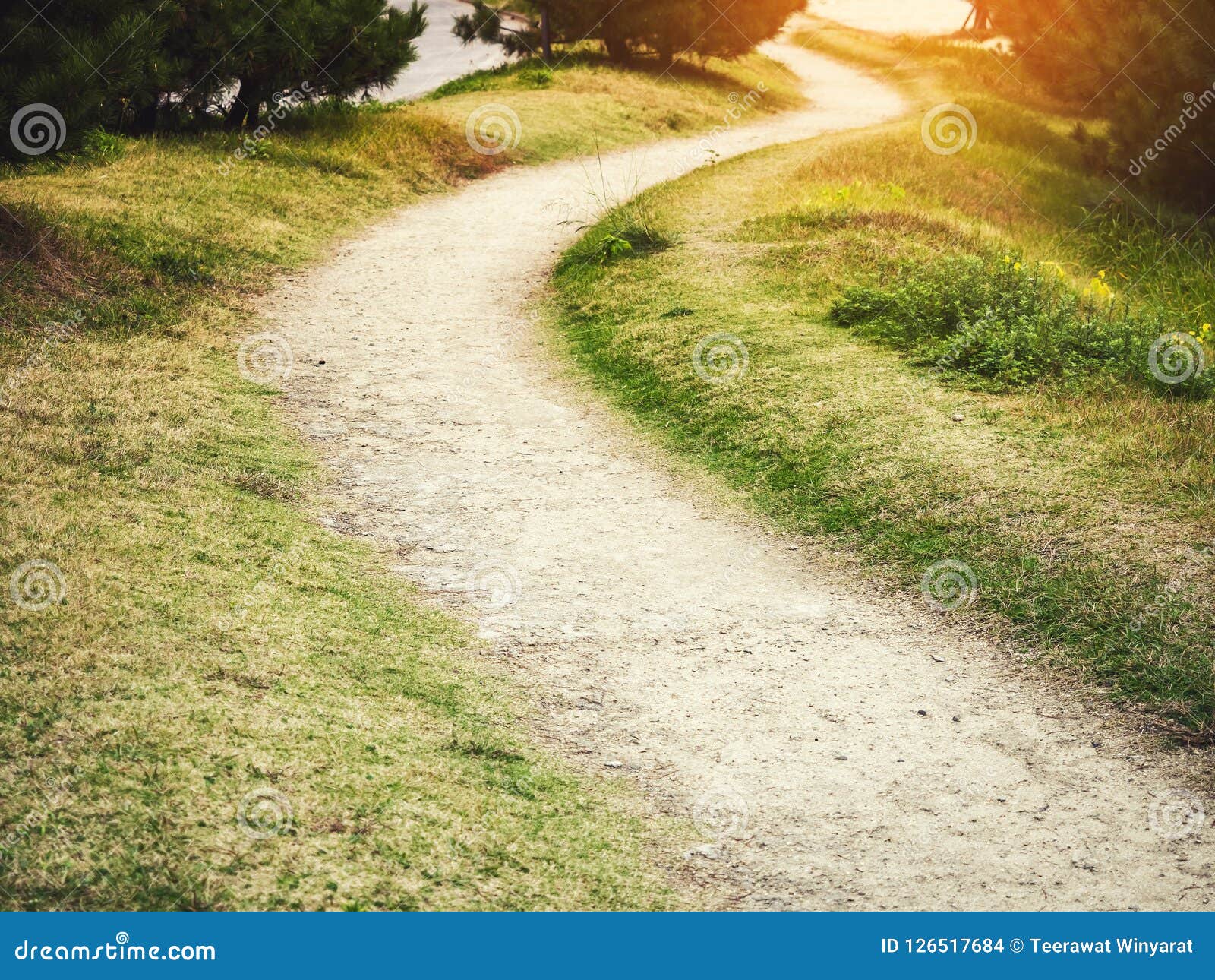 Outdoor Park Green Grass Pathway with Sunlight Stock Photo - Image of ...