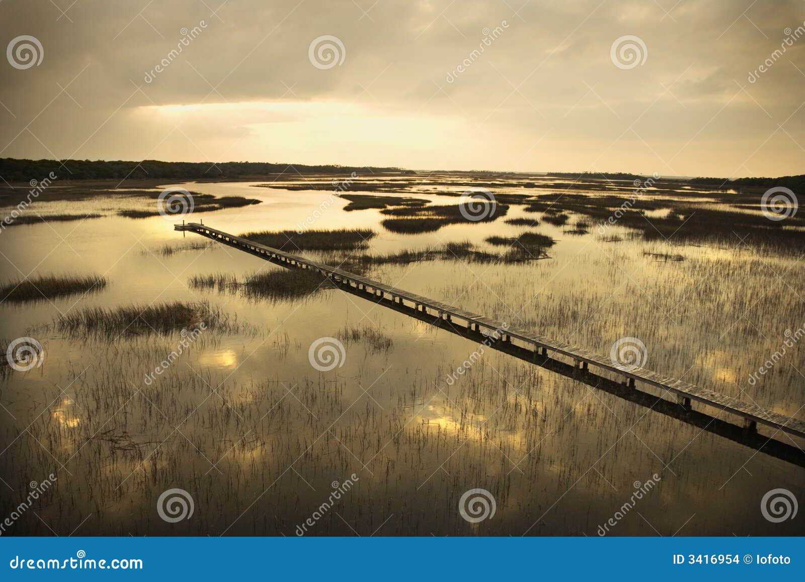 Walkway over marsh. stock photo. Image of 060510n0012 - 3416954