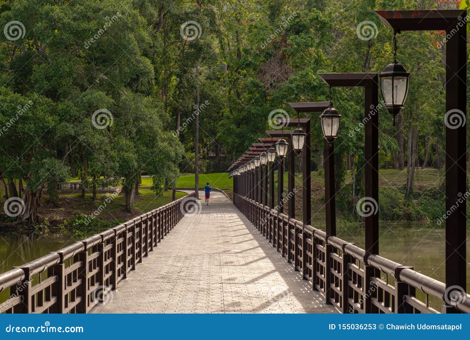 The Walkway Over the River into the Park Stock Image - Image of lamp ...