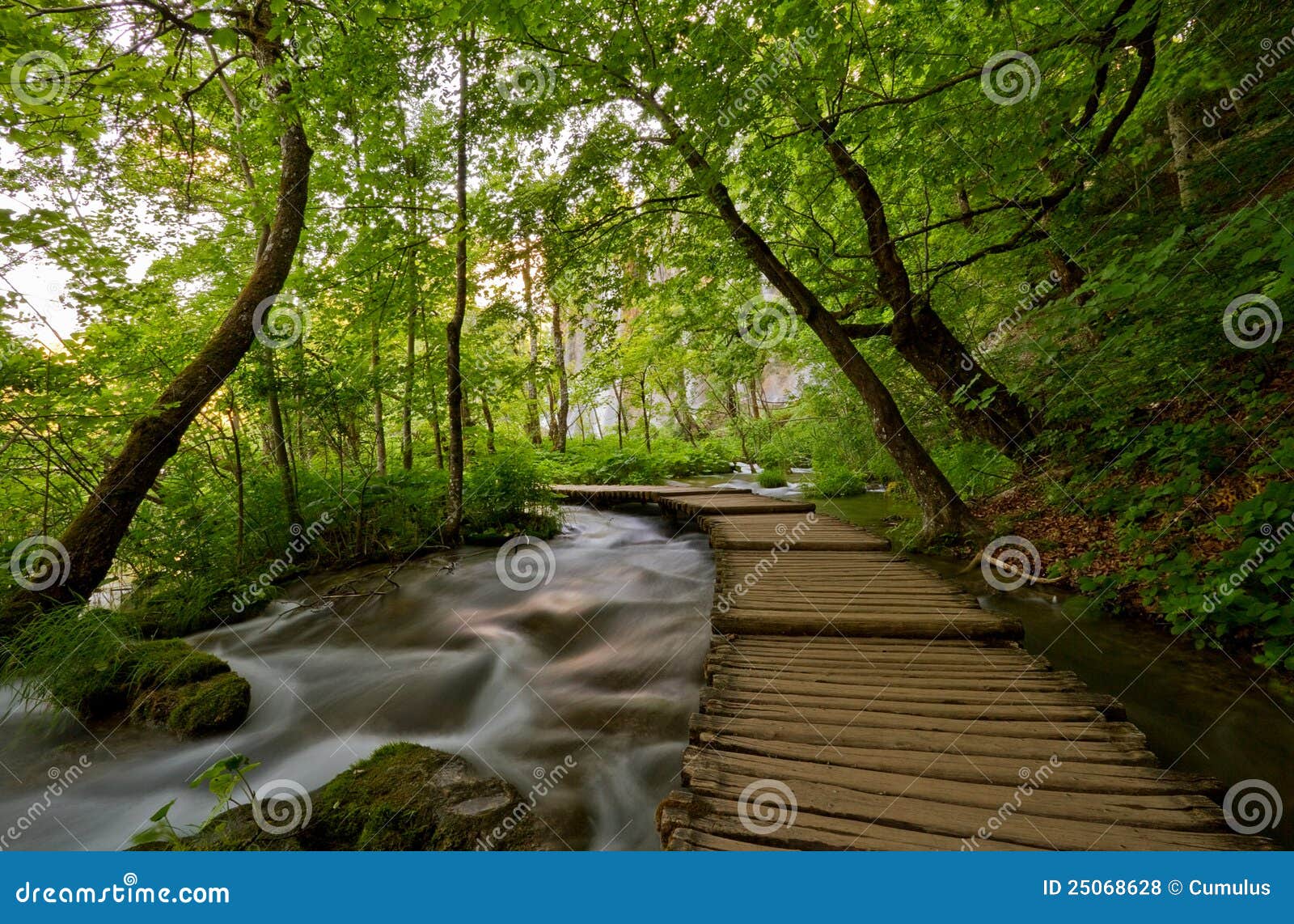 Walkway Over Streaming Water. Stock Photo - Image of foliage, stream ...