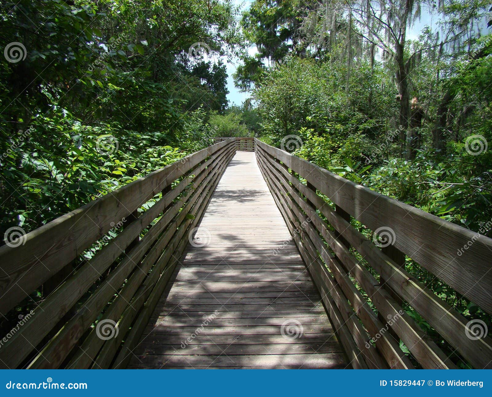 Walkway in the park stock image. Image of wood, vacation - 15829447