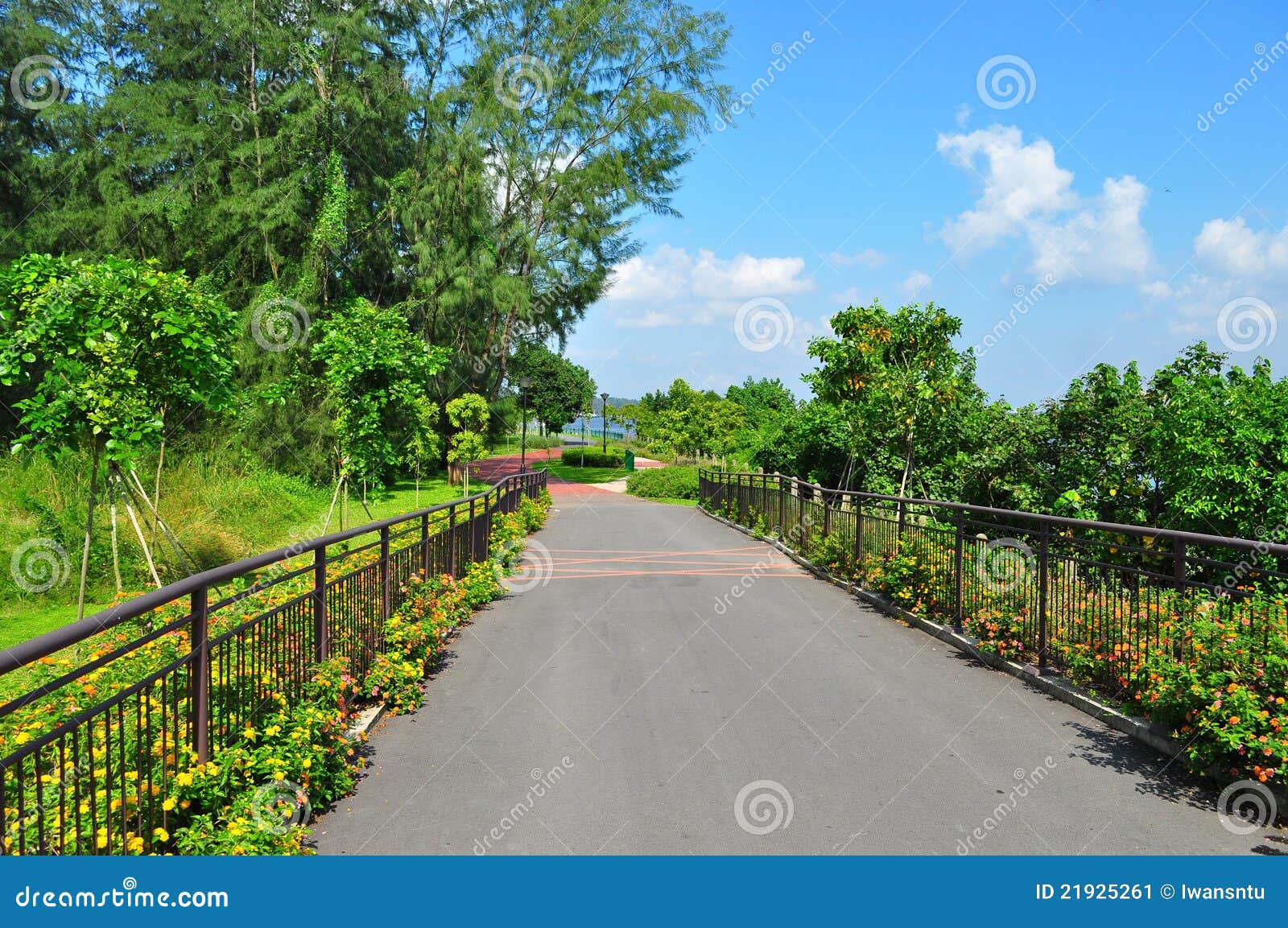 A walkway in the Park stock image. Image of nature, singapore - 21925261