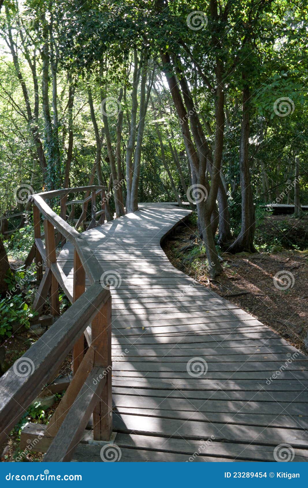 Walkway in Park stock photo. Image of flora, earth, nature - 23289454