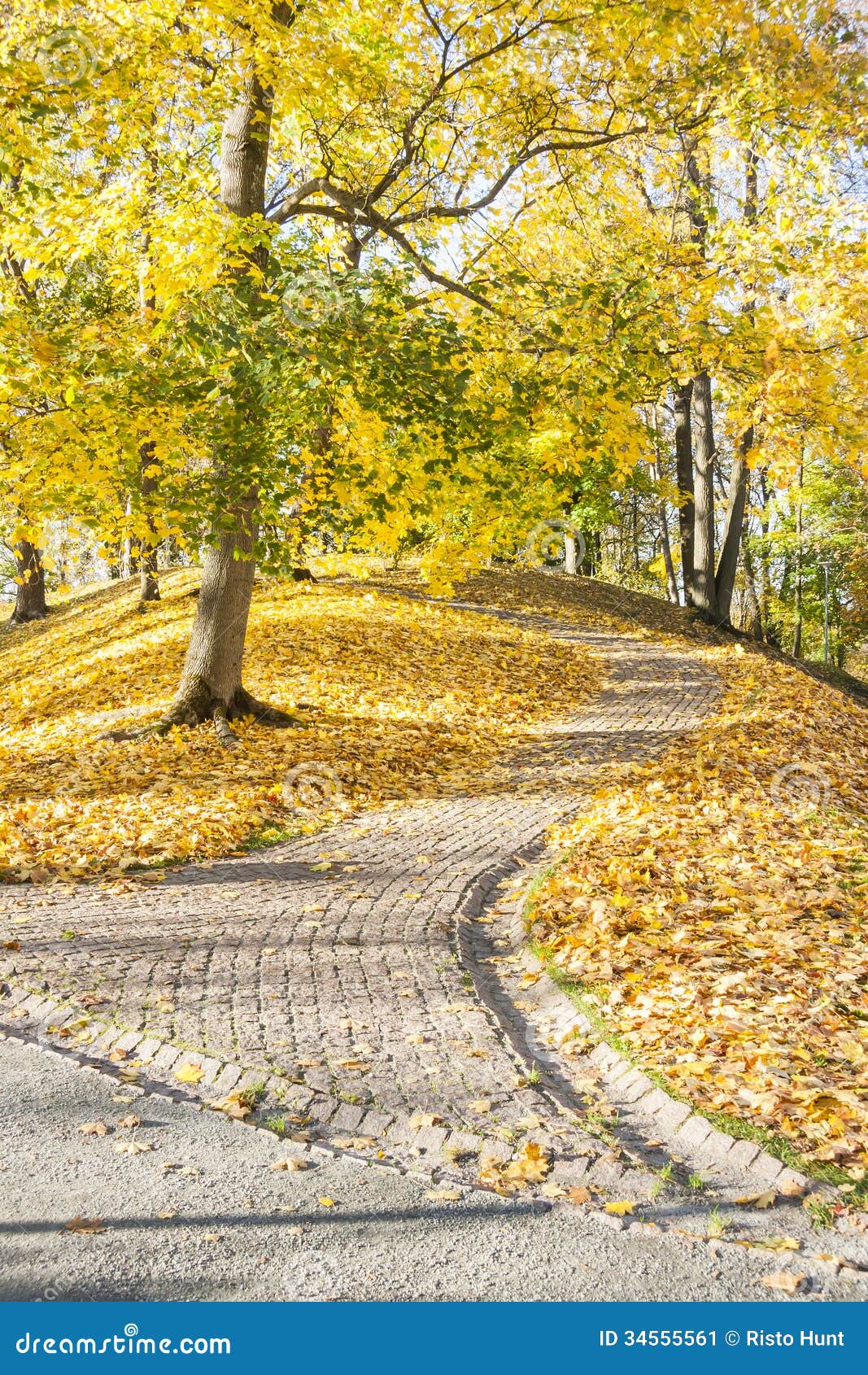 Walkway in park at autumn stock image. Image of footpath - 34555561