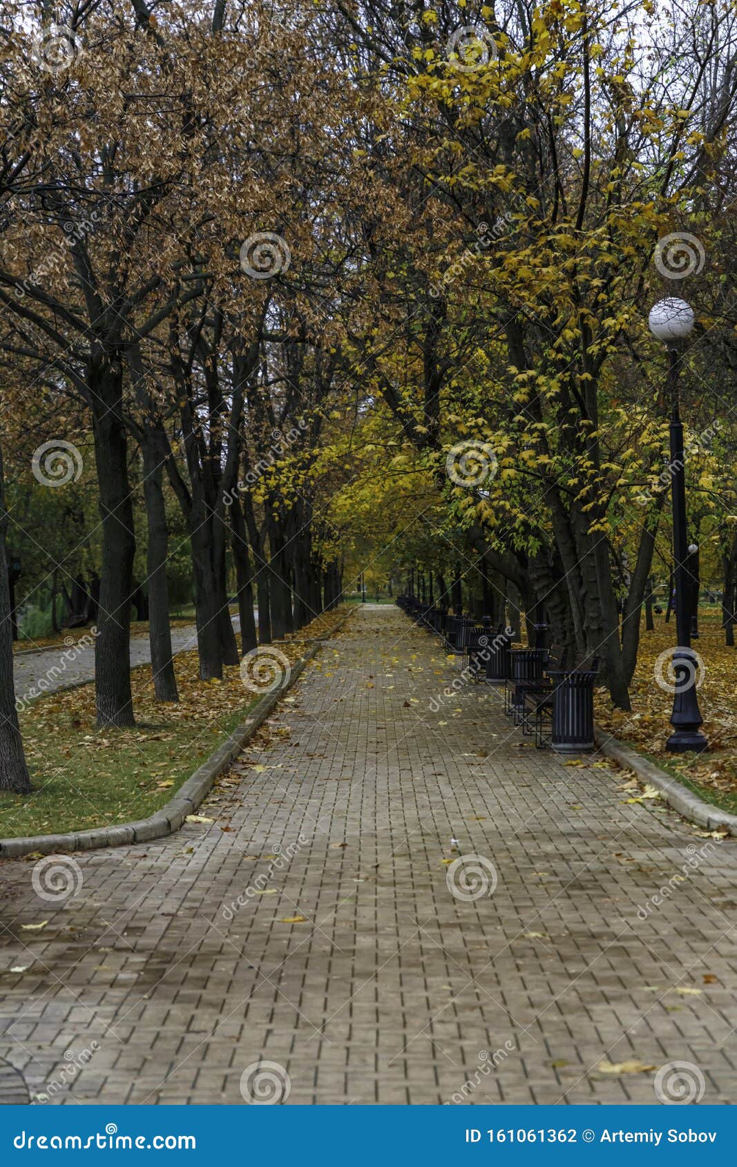 Walkway in the Park with Fallen Leaves in the Fall. Autumn Mood ...
