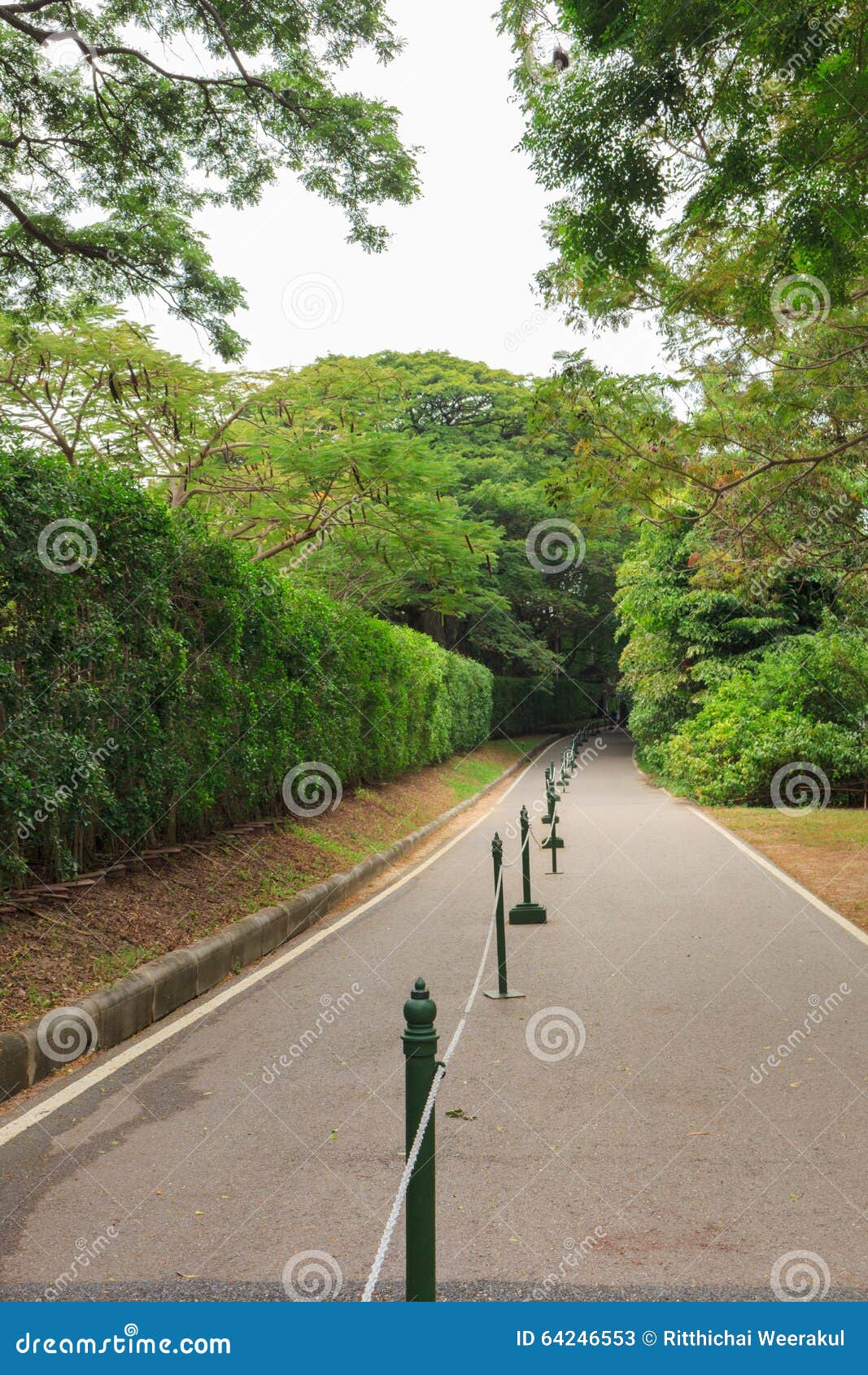 Walkway in the park stock image. Image of corridor, idyllic - 64246553