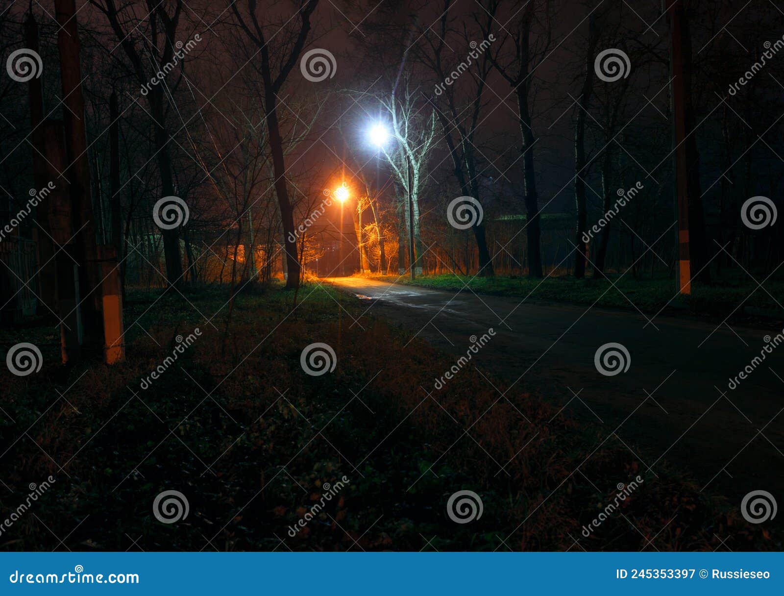 Walkway through a Park at Night Stock Image - Image of idyllic, nature ...