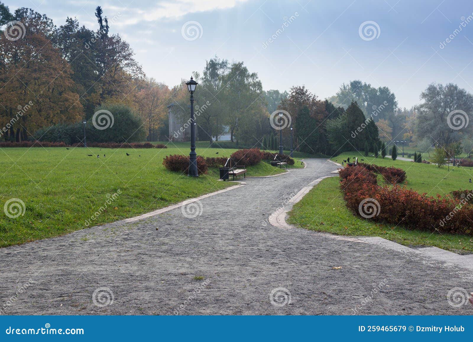 Walkway in the Park in the Summer Stock Image - Image of green, nature ...