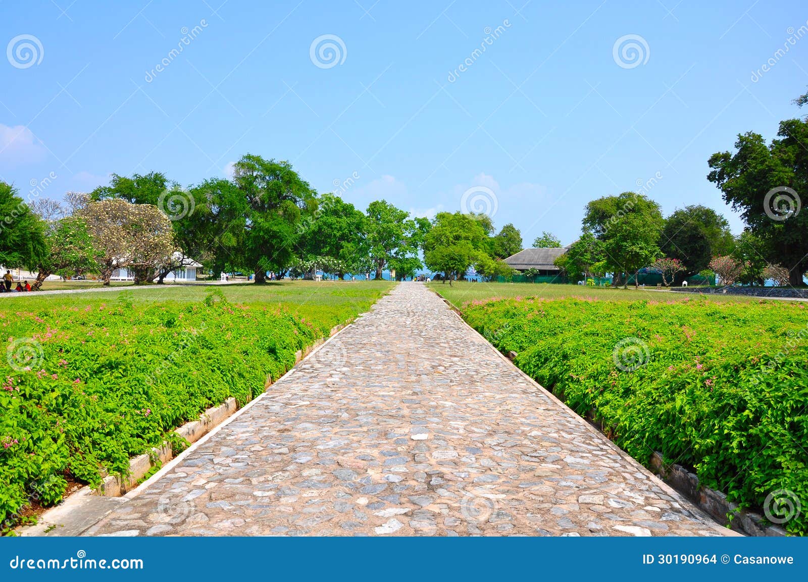 Walkway in the Park stock photo. Image of park, shade - 30190964