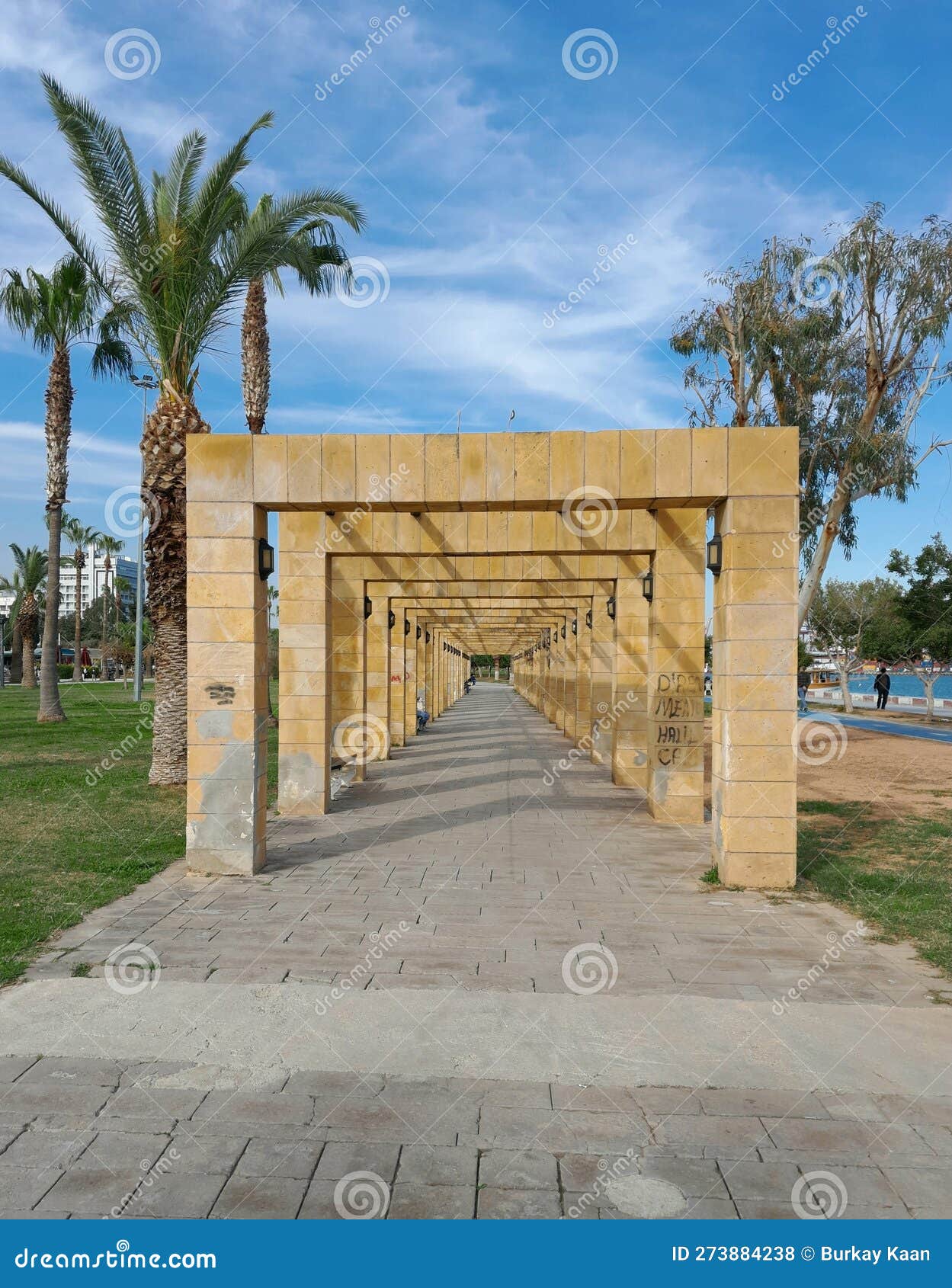 The Walkway Park With Shrubs And Green Lawns, Stock Image ...