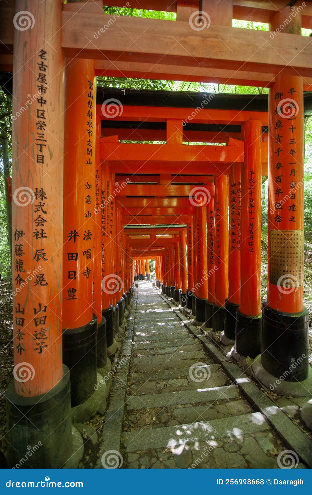 Red Pillars stock photo. Image of walkway, inari, culture - 256998668