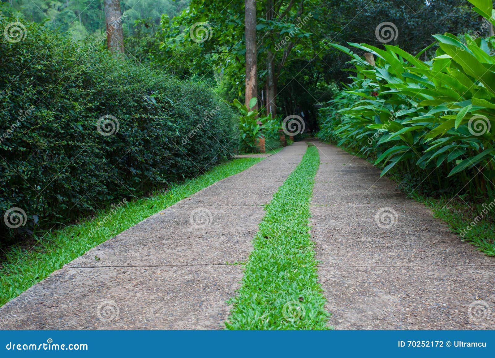 Walkway Path To Green Garden Stock Photo - Image of park, outdoor: 70252172