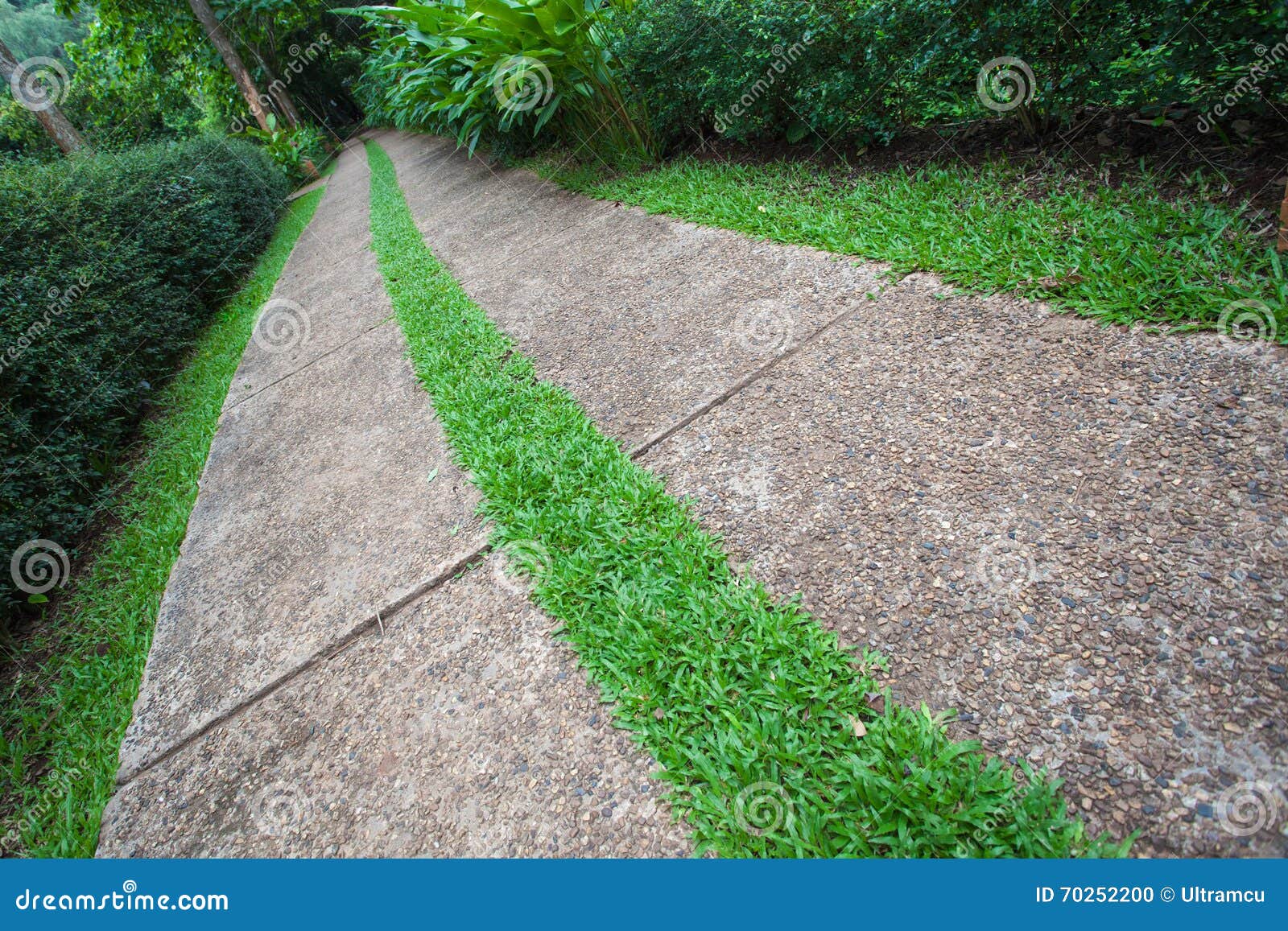 Walkway Path To Green Garden Stock Photo - Image of pathway, grass ...