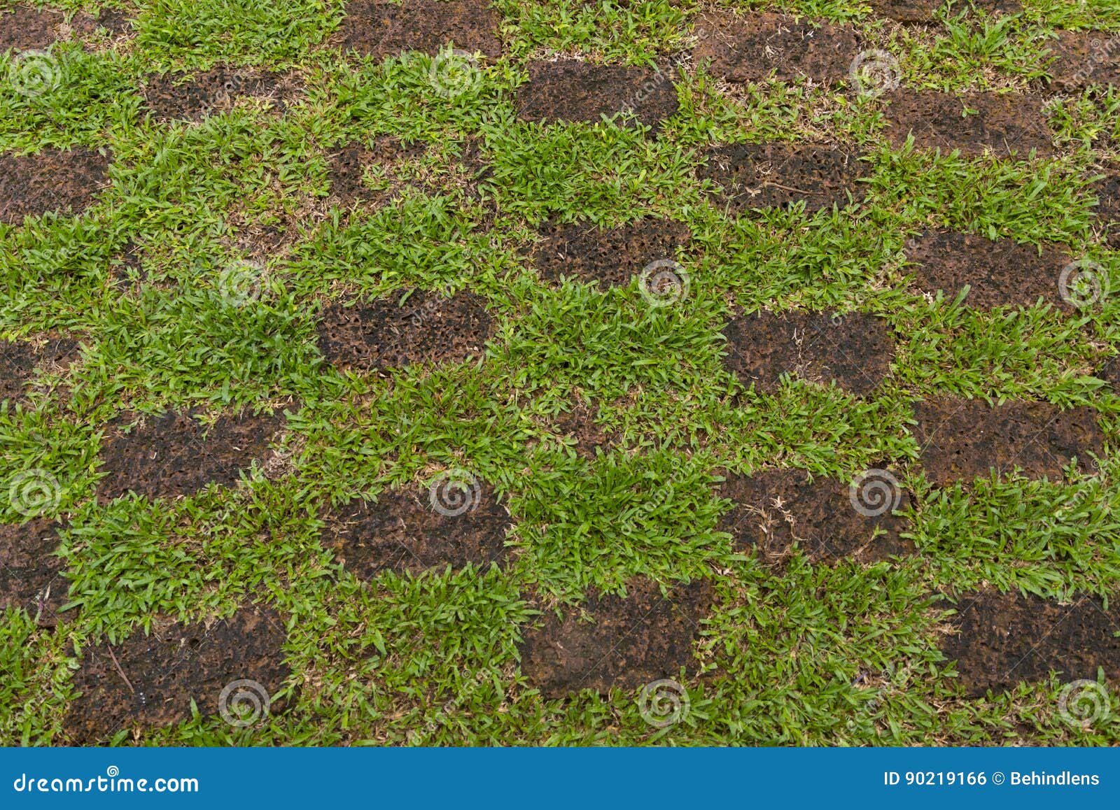 Walkway Pattern Chessboard of Brick and Grass. Stock Photo - Image of ...