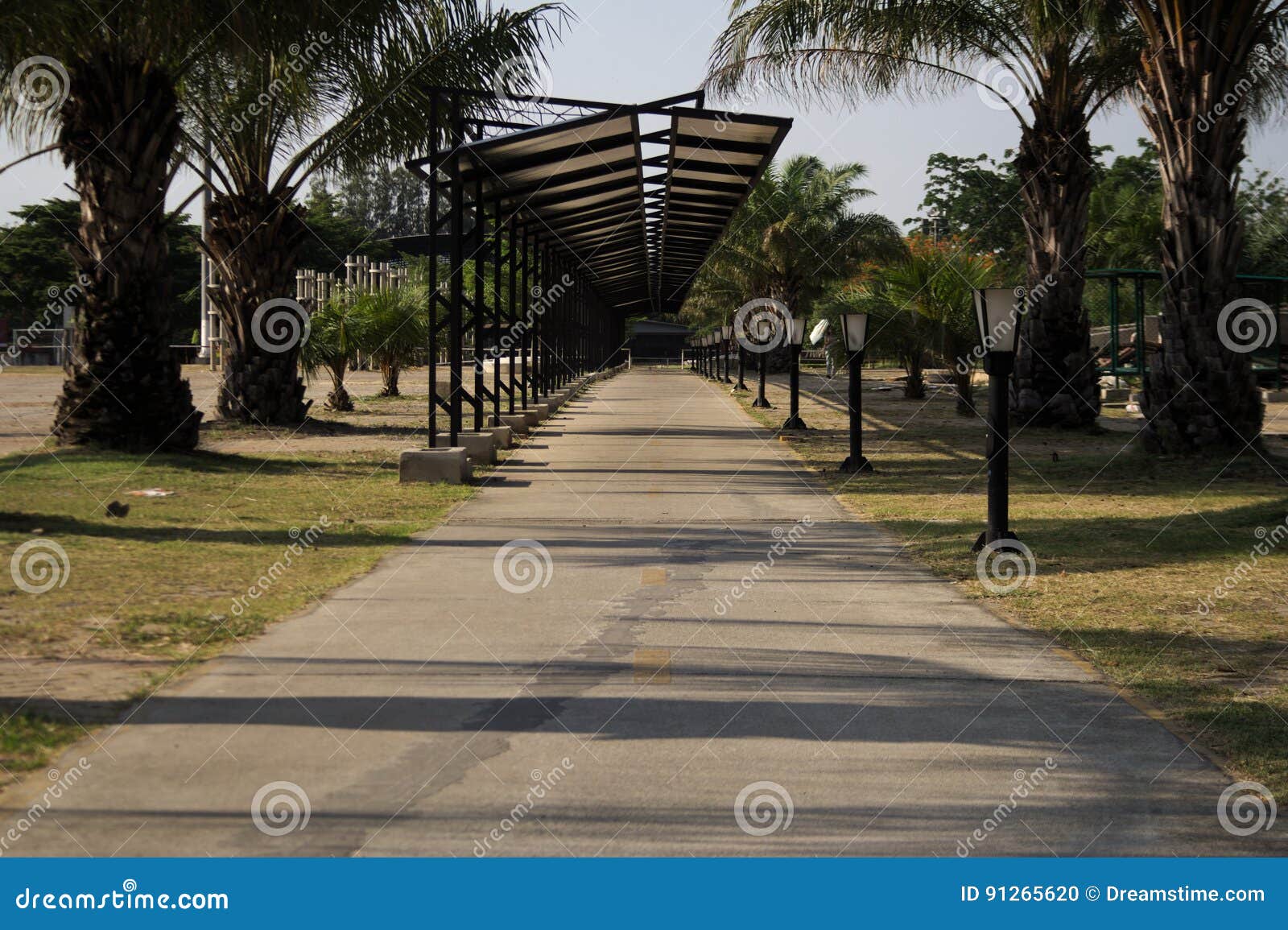 Walkway perspective stock photo. Image of palm, perspective - 91265620