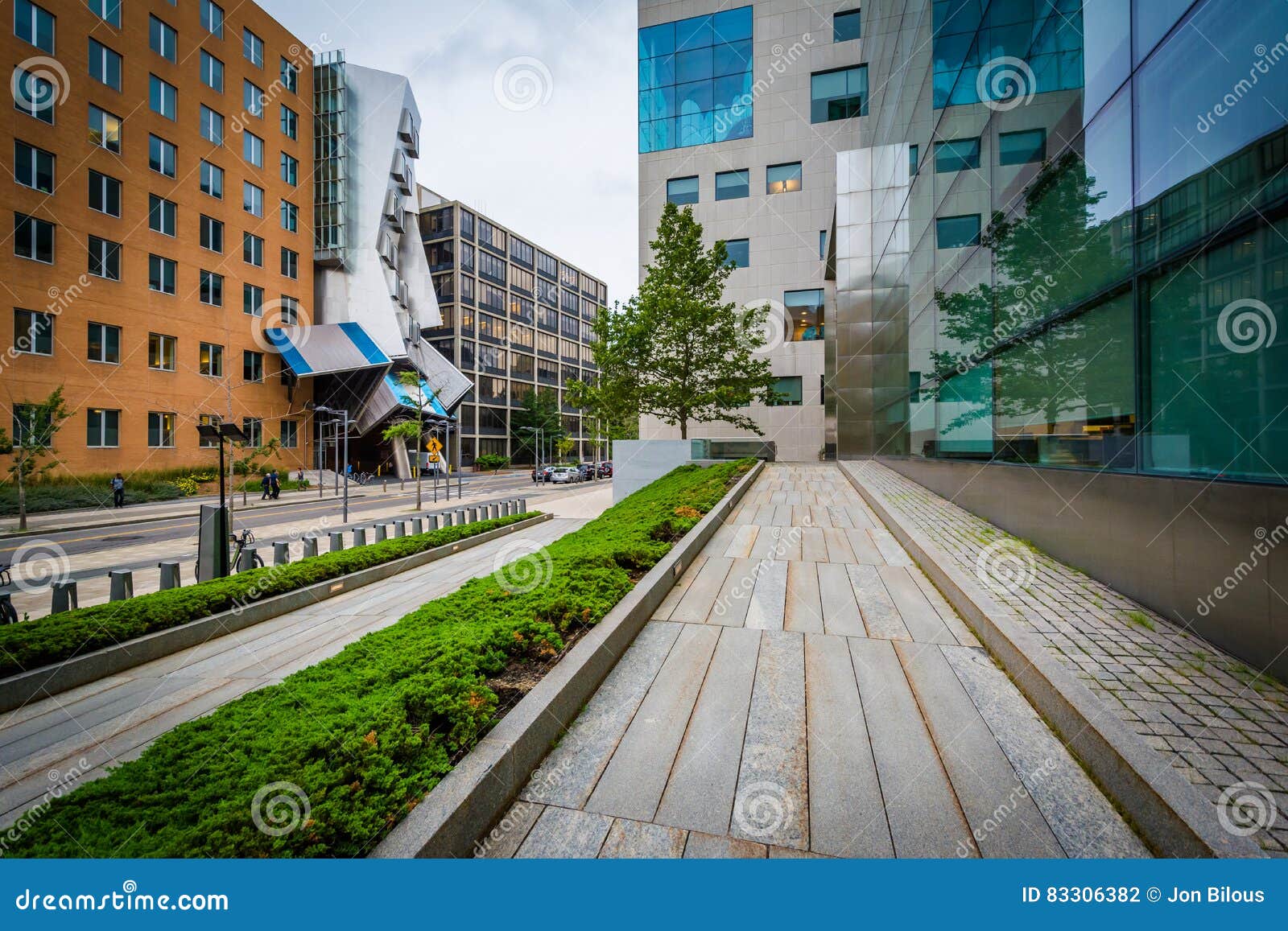 Walkway and the Picower Institute for Learning and Memory, at Th ...