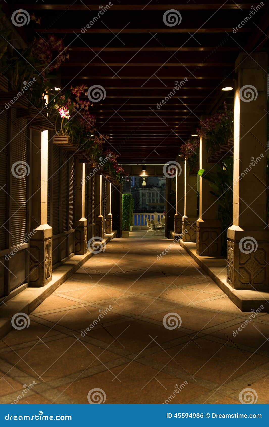 Walkway Pillars stock photo. Image of floor, design, pillar - 45594986