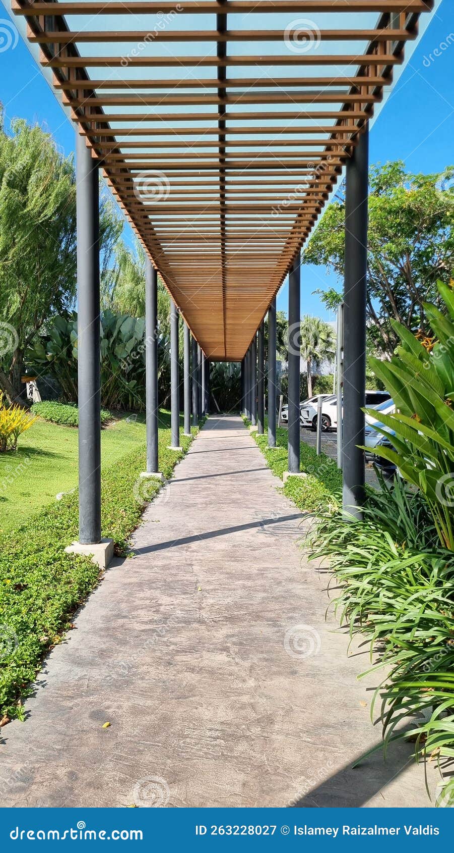 Walkway Point of View with Bright Light Stock Image - Image of nature ...