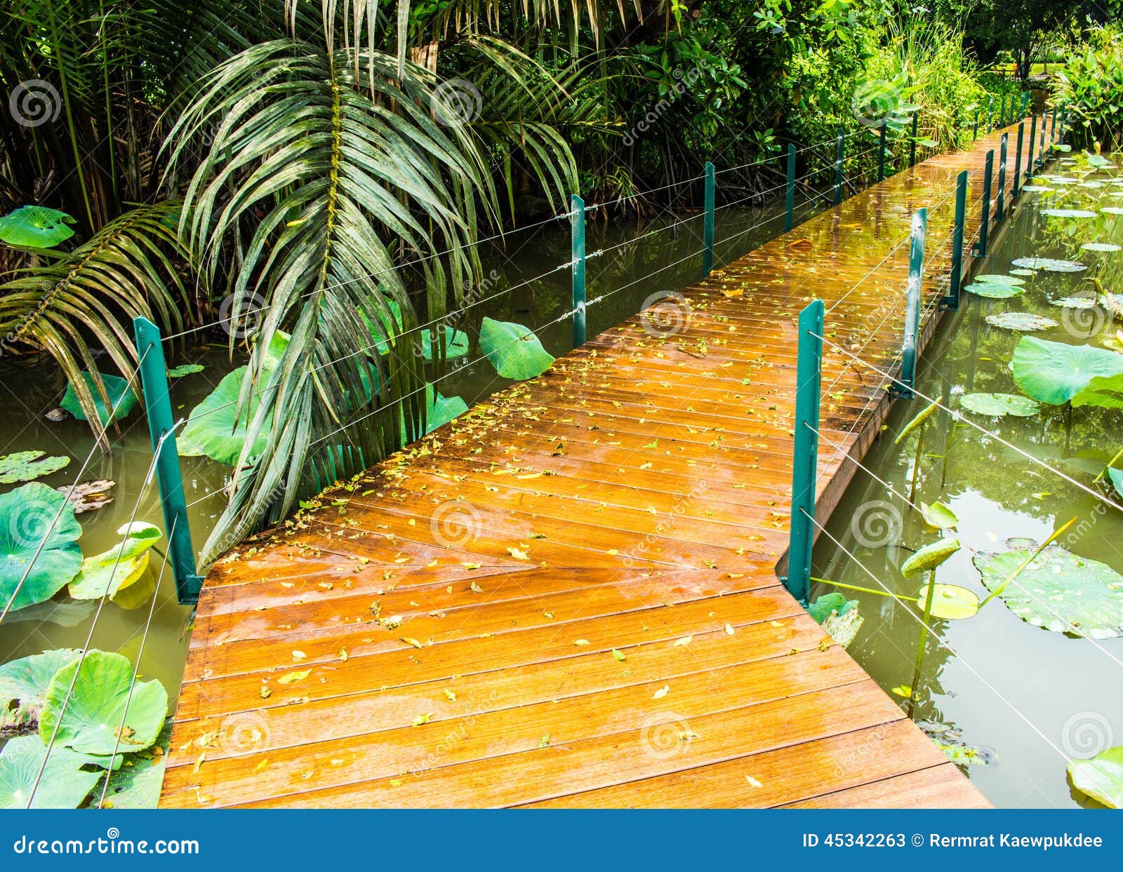 Walkway and a pond. stock image. Image of park, peaceful - 45342263
