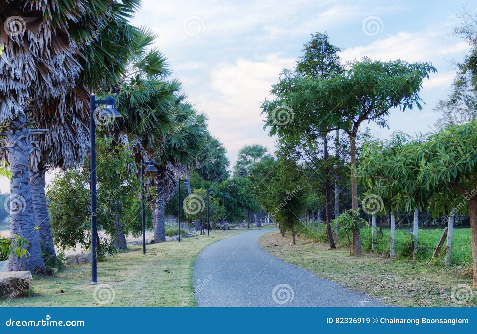 Walkway or Running Way in the Park Stock Image - Image of scenery ...