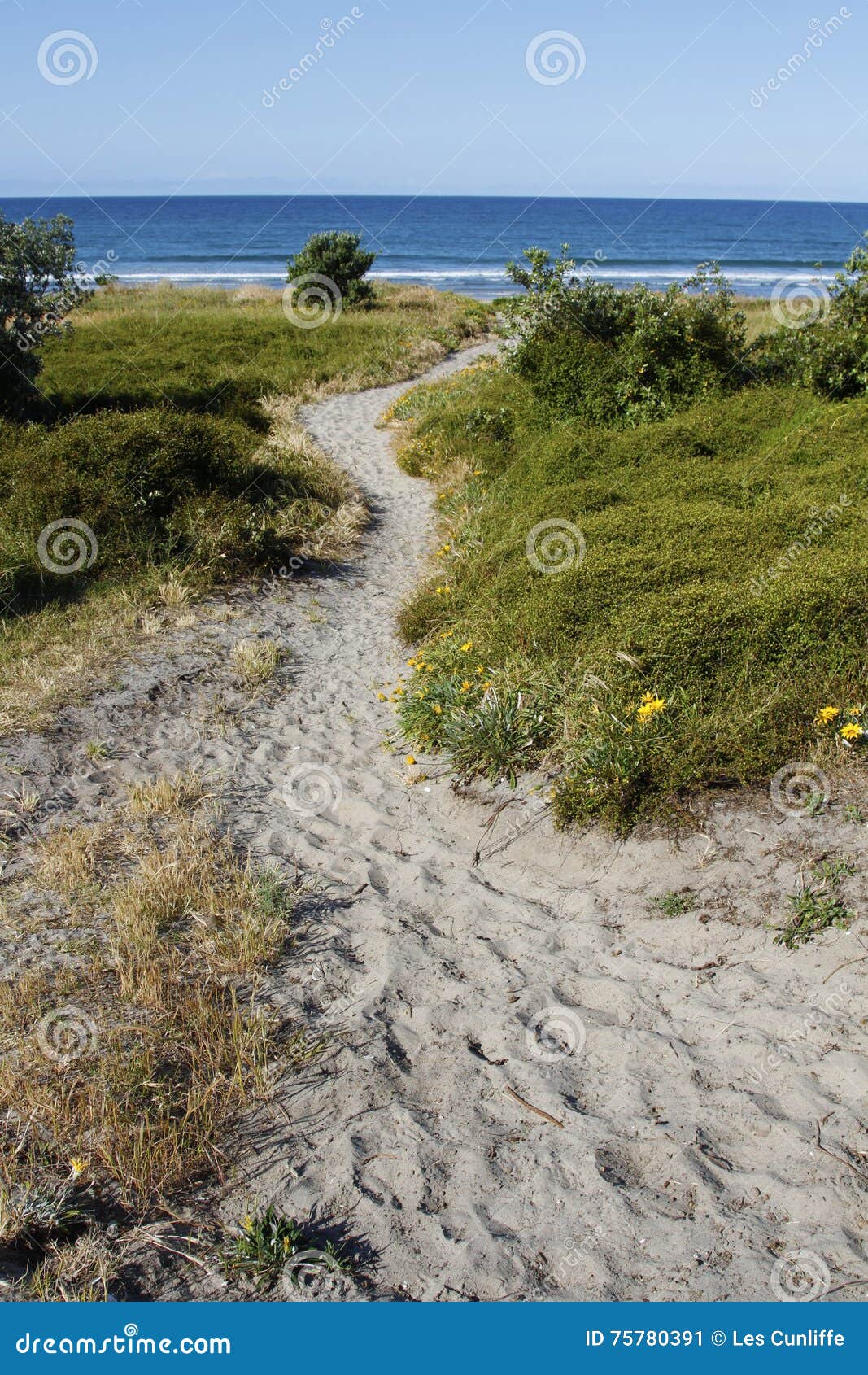 Walkway stock image. Image of pathway, vertical, dunes - 75780391