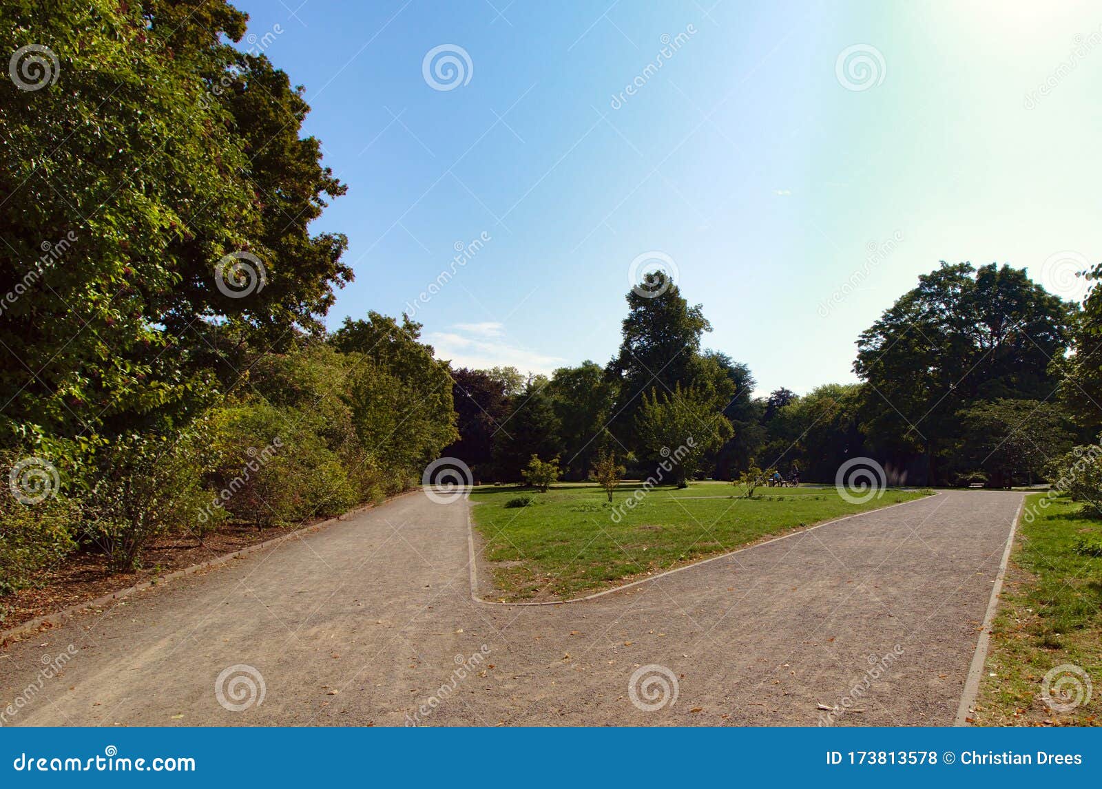 Walkway Splitting into Two Ways in a Park with Blue Sky Stock Photo ...