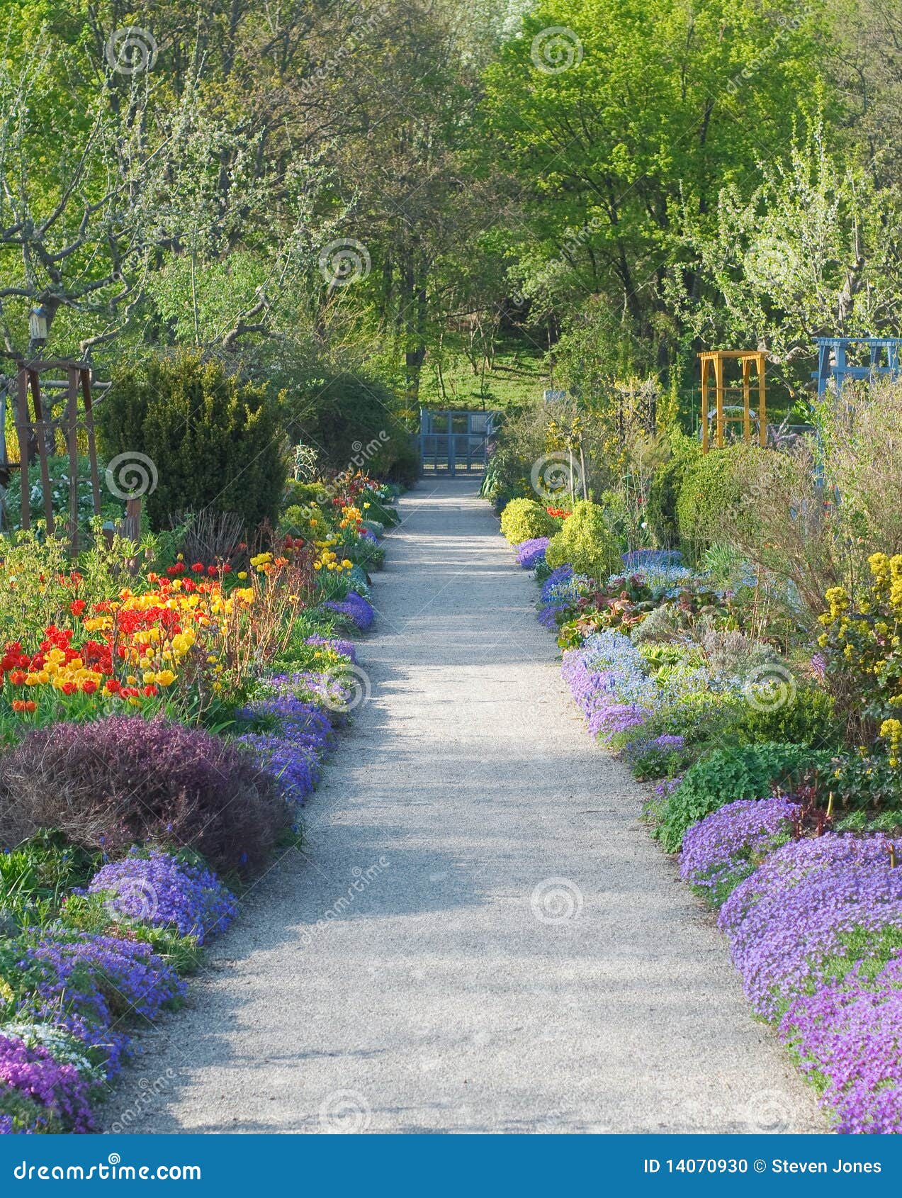 Walkway through Spring Blossoms Stock Photo - Image of lush, garden ...