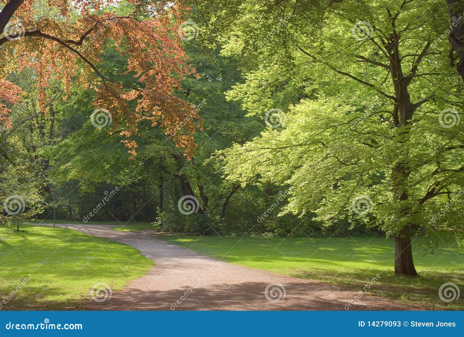 Walkway on a Spring Day stock image. Image of hike, leaves - 14279093