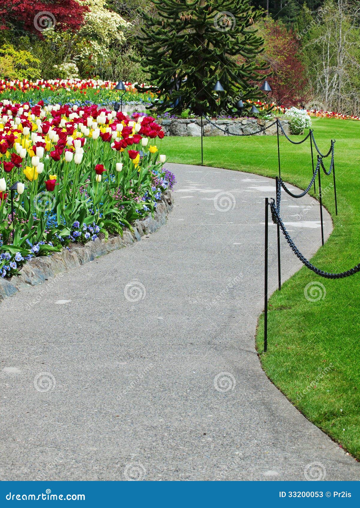 Walkway in a spring garden stock image. Image of flowerbed - 33200053