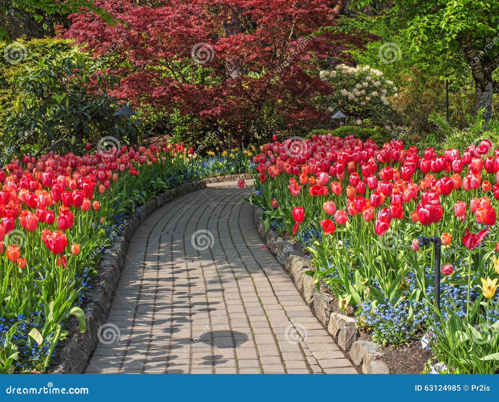 Walkway in a spring garden stock image. Image of pavement - 63124985