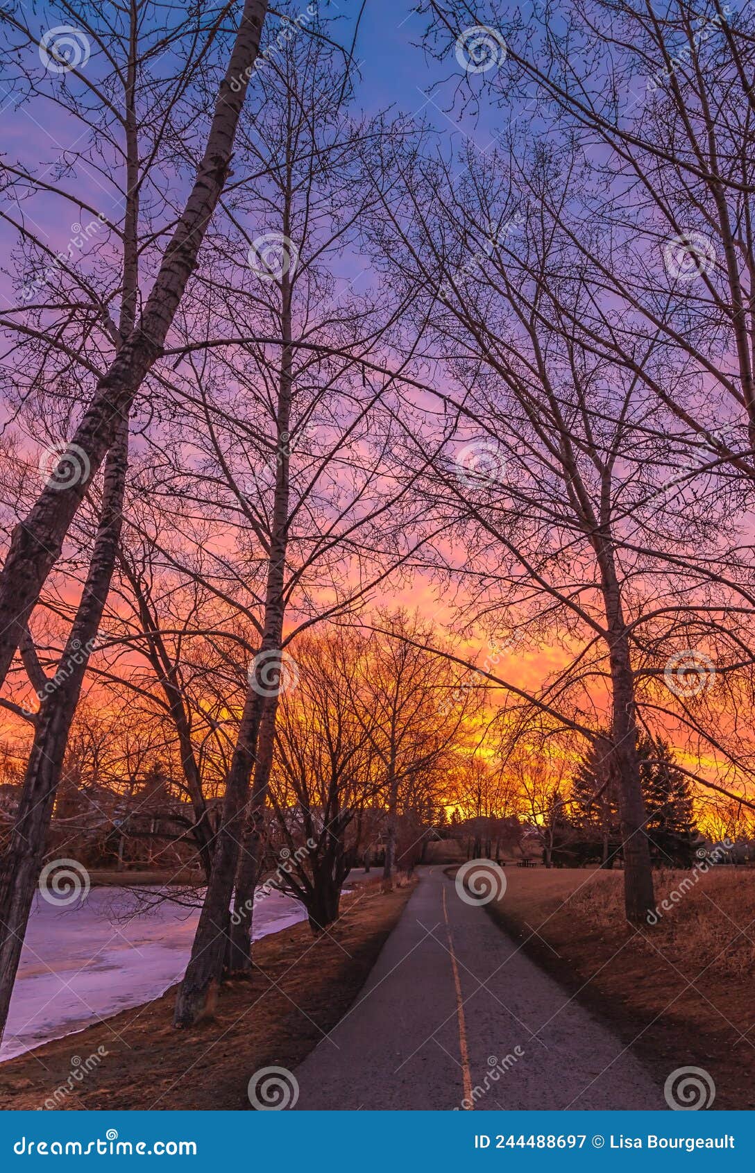 Sunrise Over a Park Pathway Stock Image - Image of outdoors, spring ...