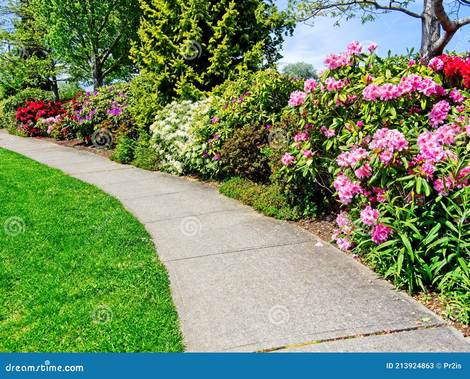 Walkway in the spring stock image. Image of grass, columbia - 213924863