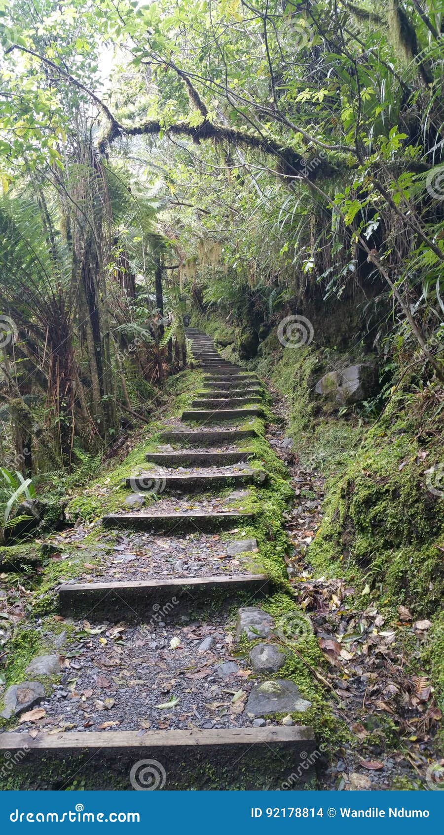 Walkway Steps Leading Up Somewhere Stock Photo - Image of steps ...