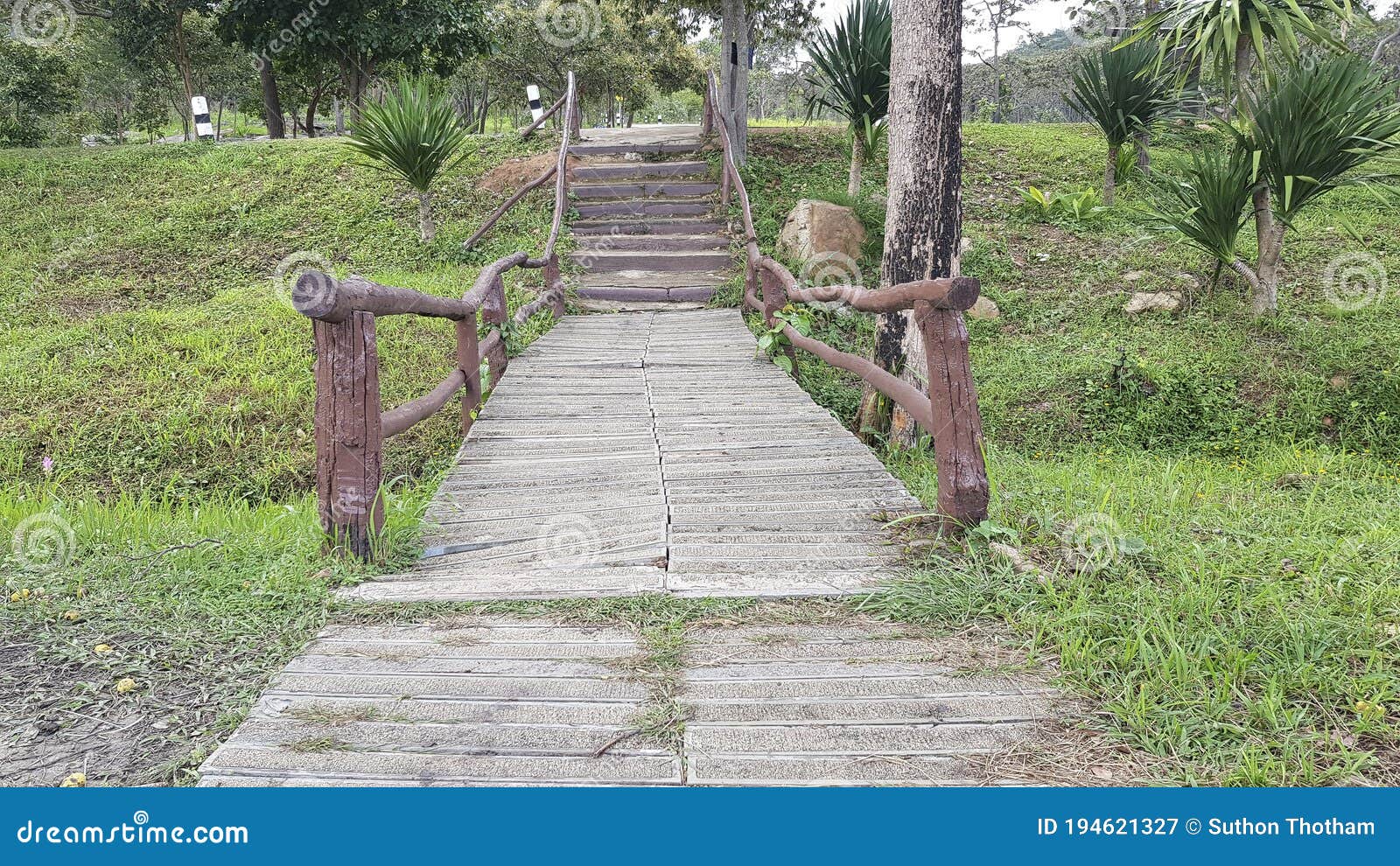 Walkway Stone Path in Forest by Vegetation Stock Image - Image of ...