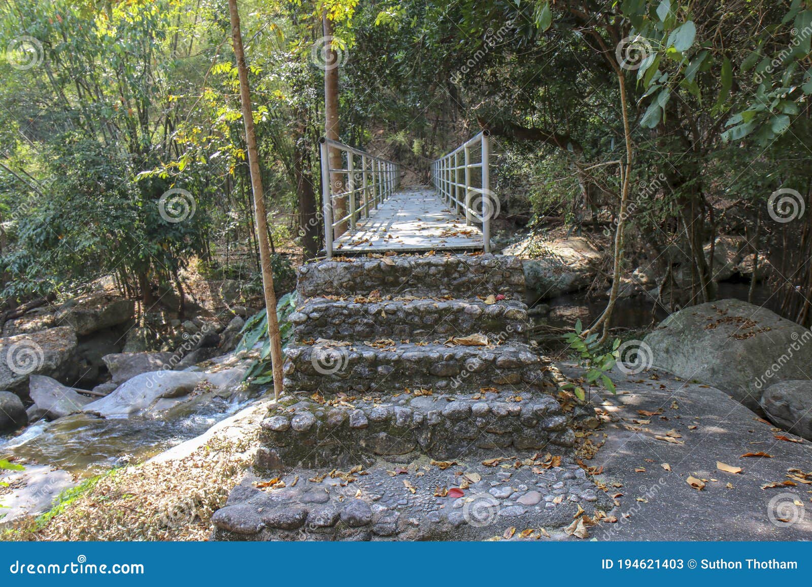 Walkway Stone Path in Forest by Vegetation Stock Image - Image of ...