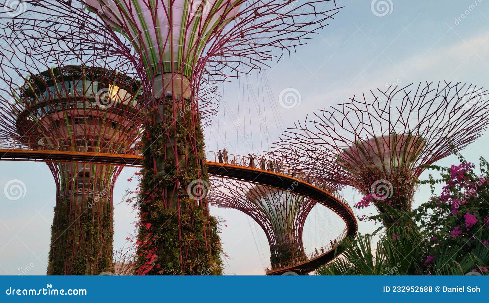 Walkway and Supertrees Gardens by the Bay Editorial Stock Photo - Image ...