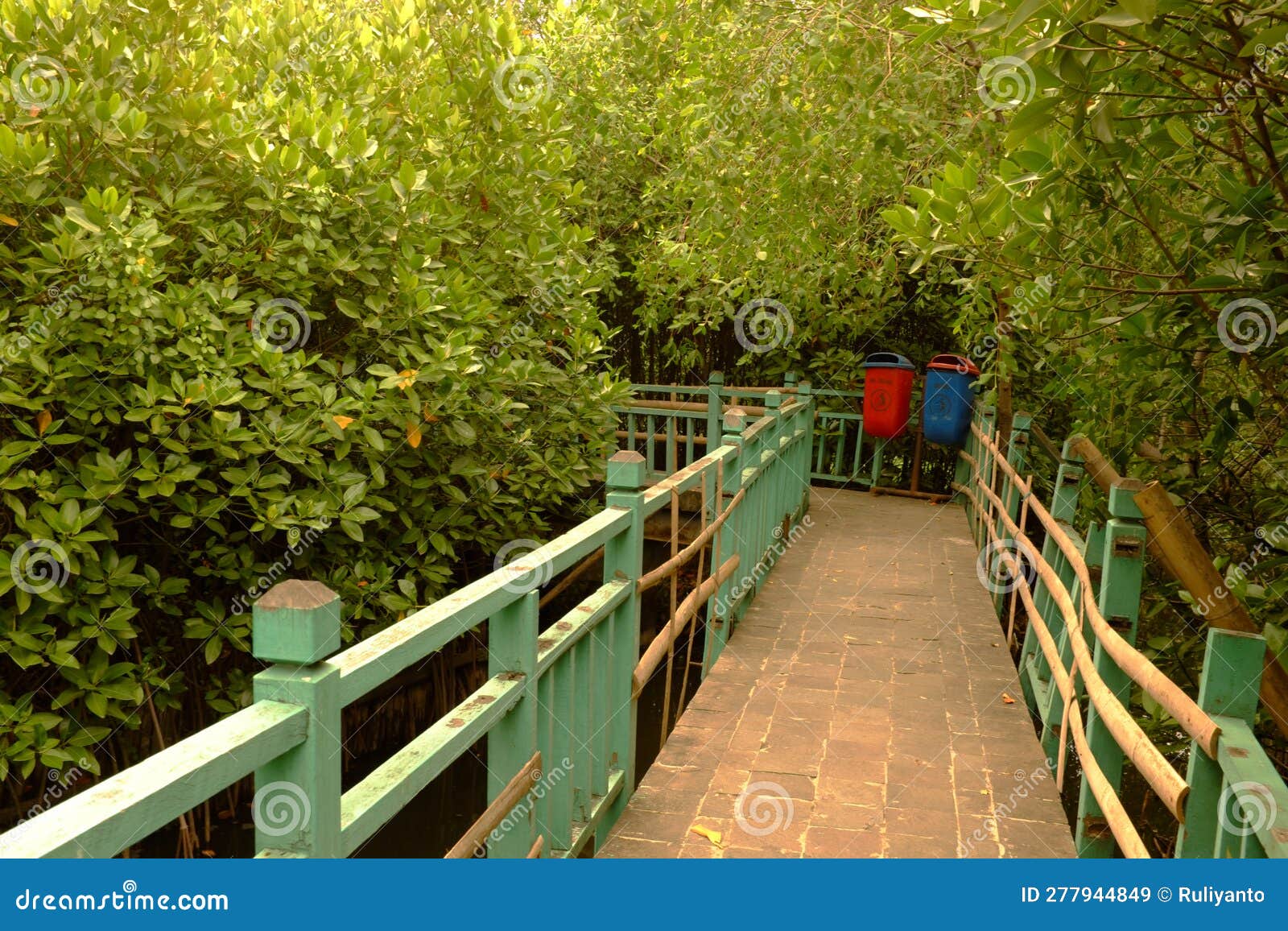 Walkway at a swamp stock image. Image of summer, fence - 277944849