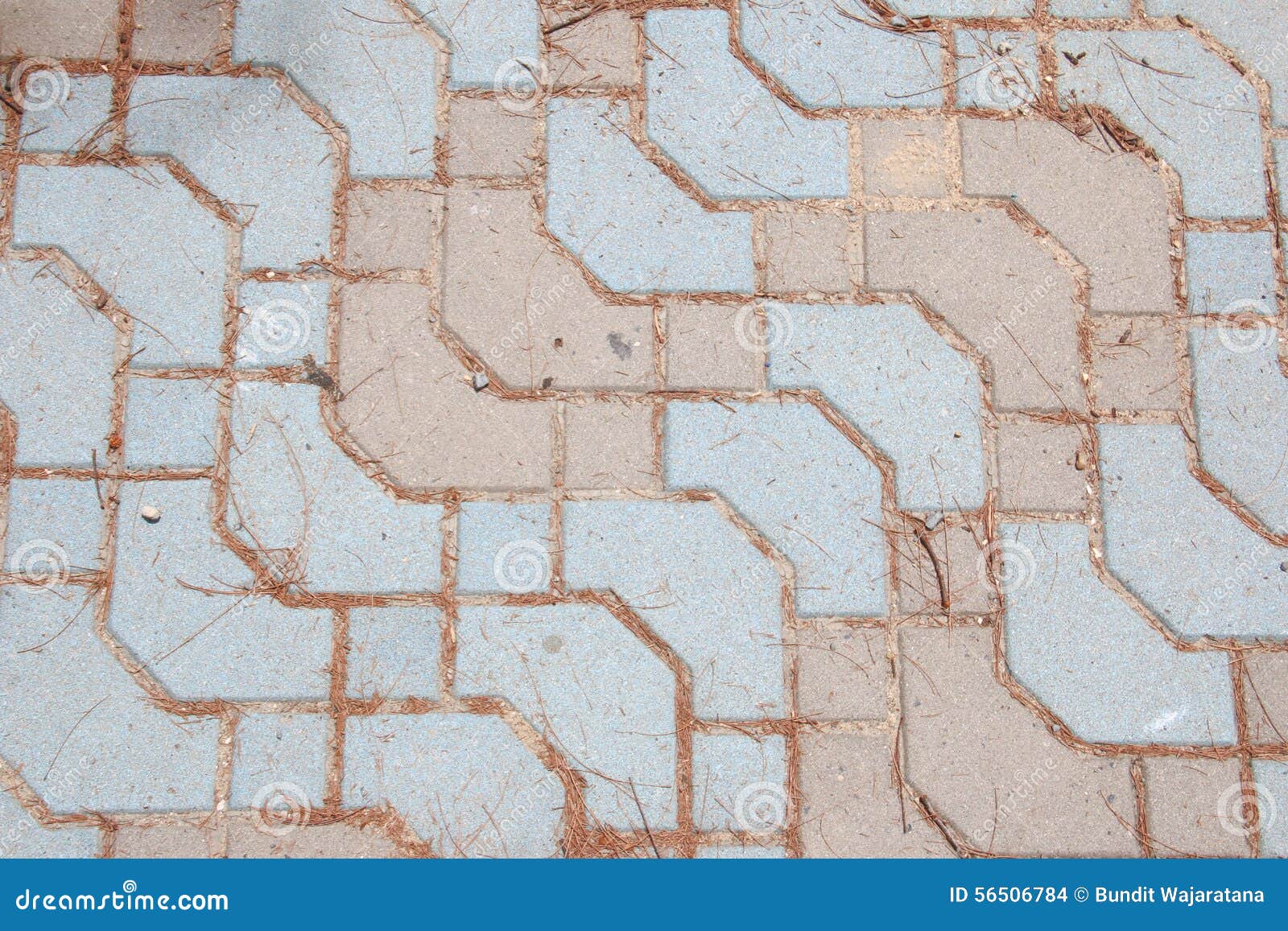 Walkway texture stock photo. Image of brick, decoration - 56506784
