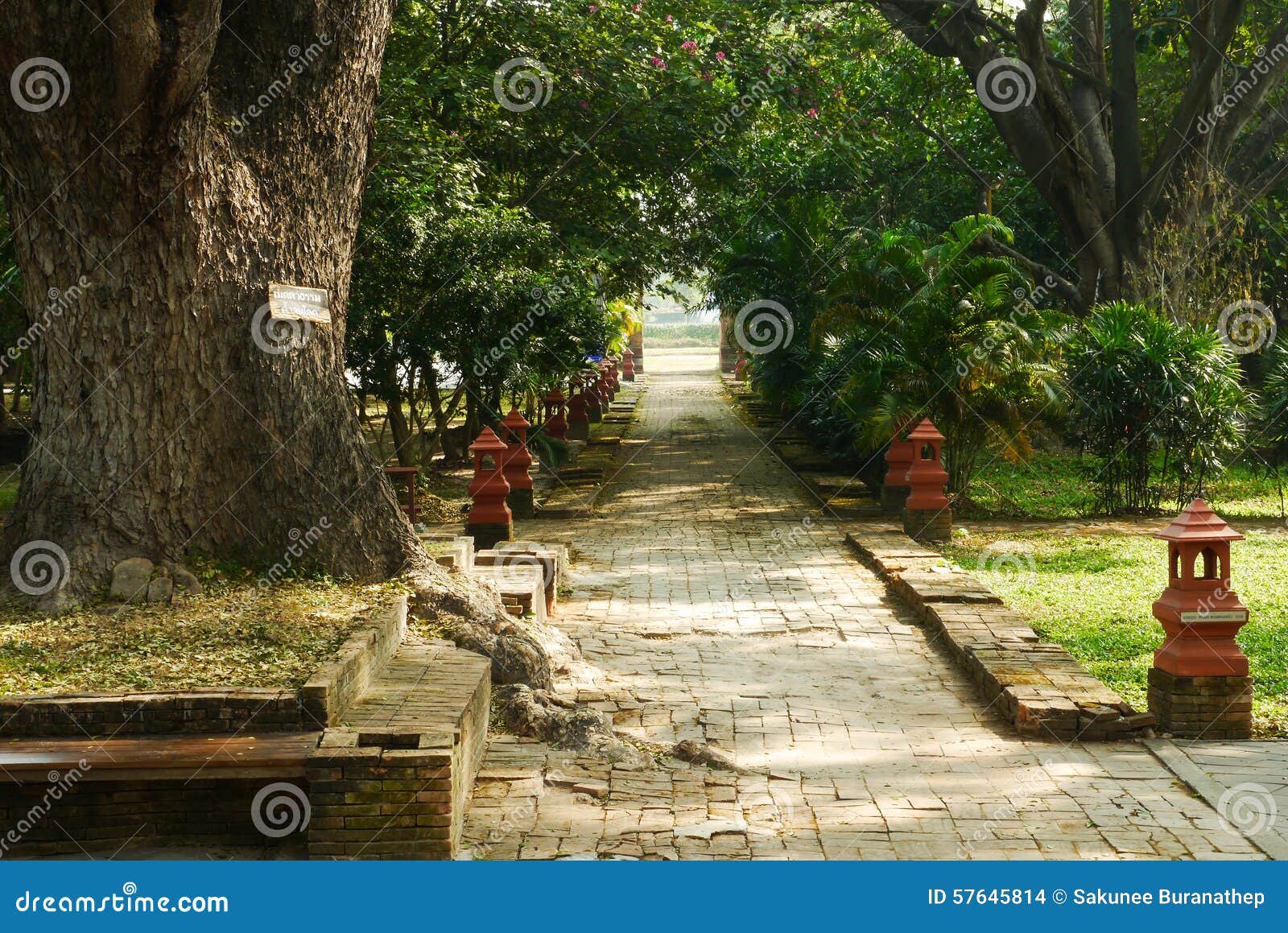 Walkway stock photo. Image of thai, color, thailand, pagoda - 57645814