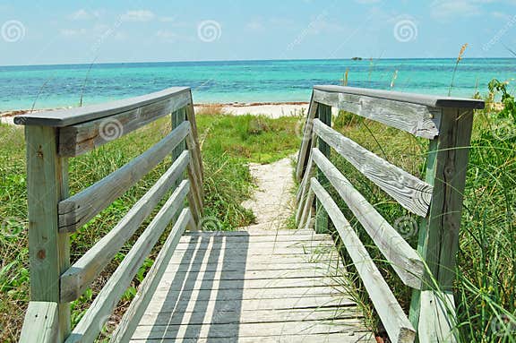 Walkway to beach stock photo. Image of scenic, nature - 21219212