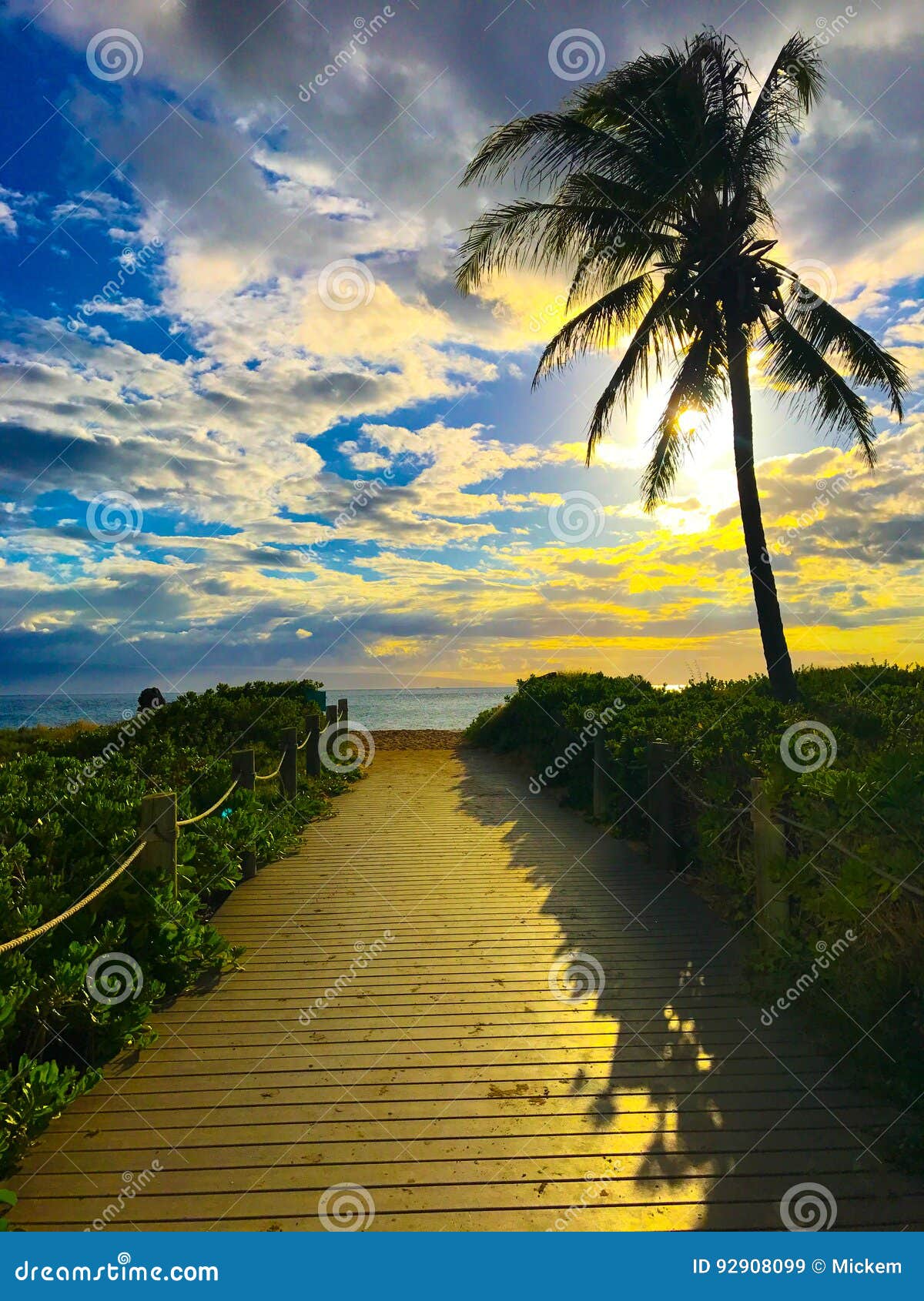 Sunset Over Board Walkway To Beach Stock Image - Image of beach, grass ...