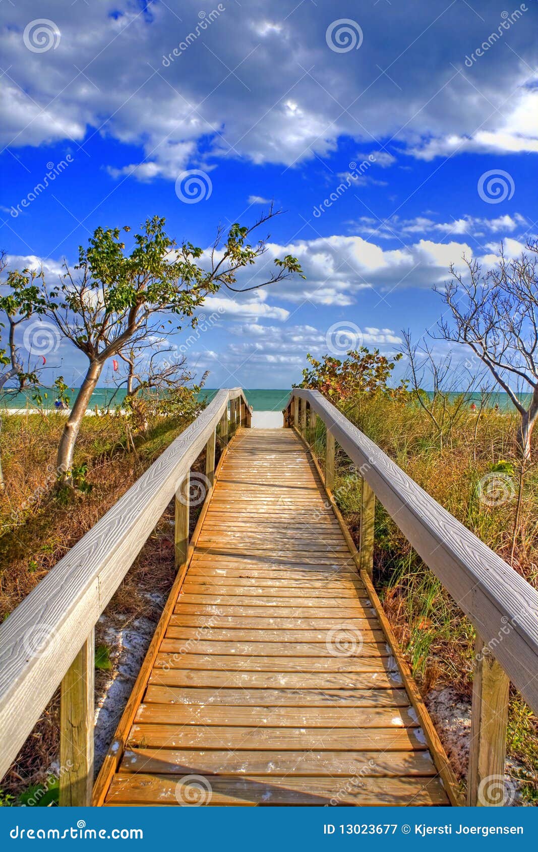 Walkway to the ocean stock image. Image of ocean, calm - 13023677