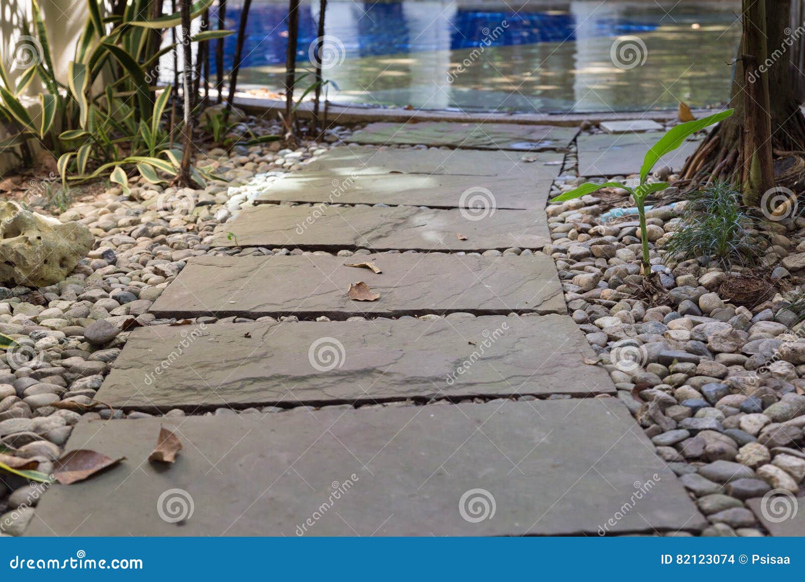 Walkway to swimming pool stock photo. Image of plant - 82123074