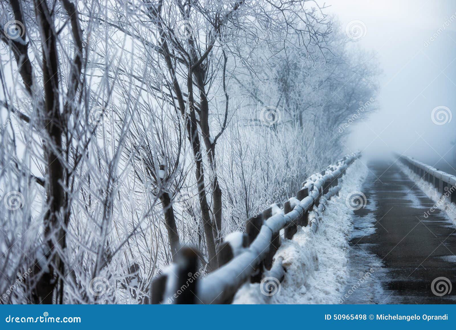 Walkway stock photo. Image of december, frozen, washington - 50965498