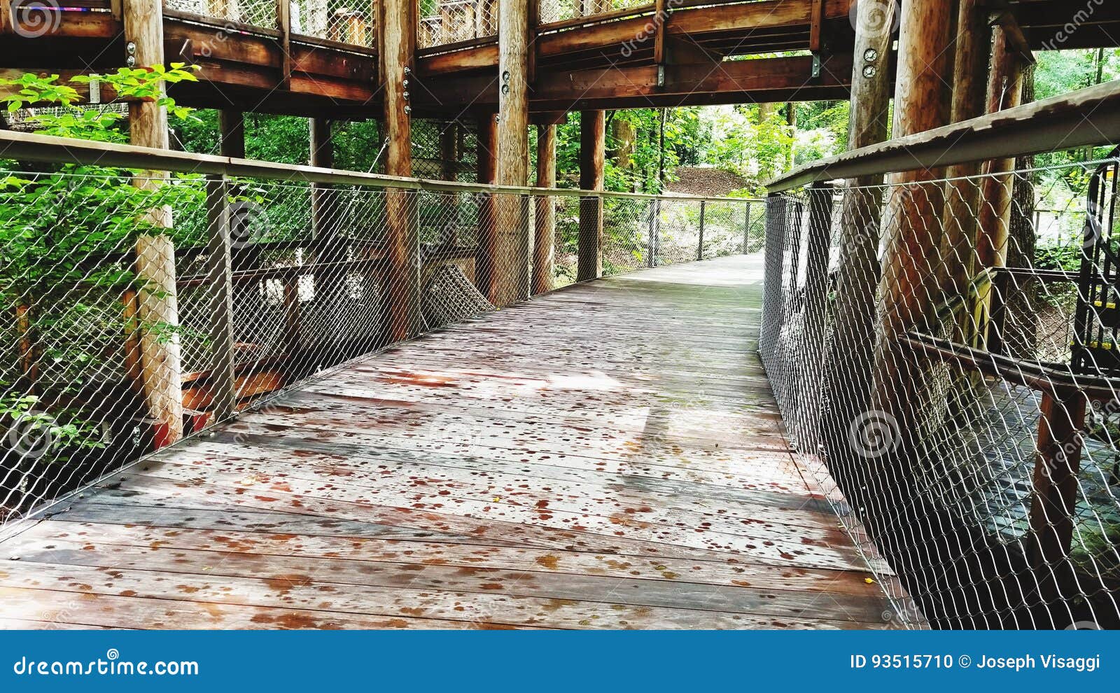 Walkway stock photo. Image of bridge, tree, walkway, green - 93515710