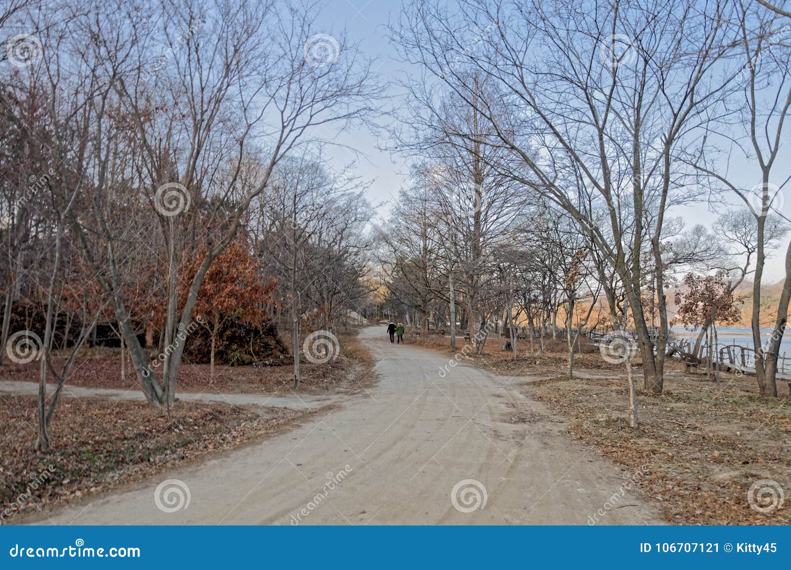 The Walkway between the Trees on Both Sides. Stock Image - Image of ...