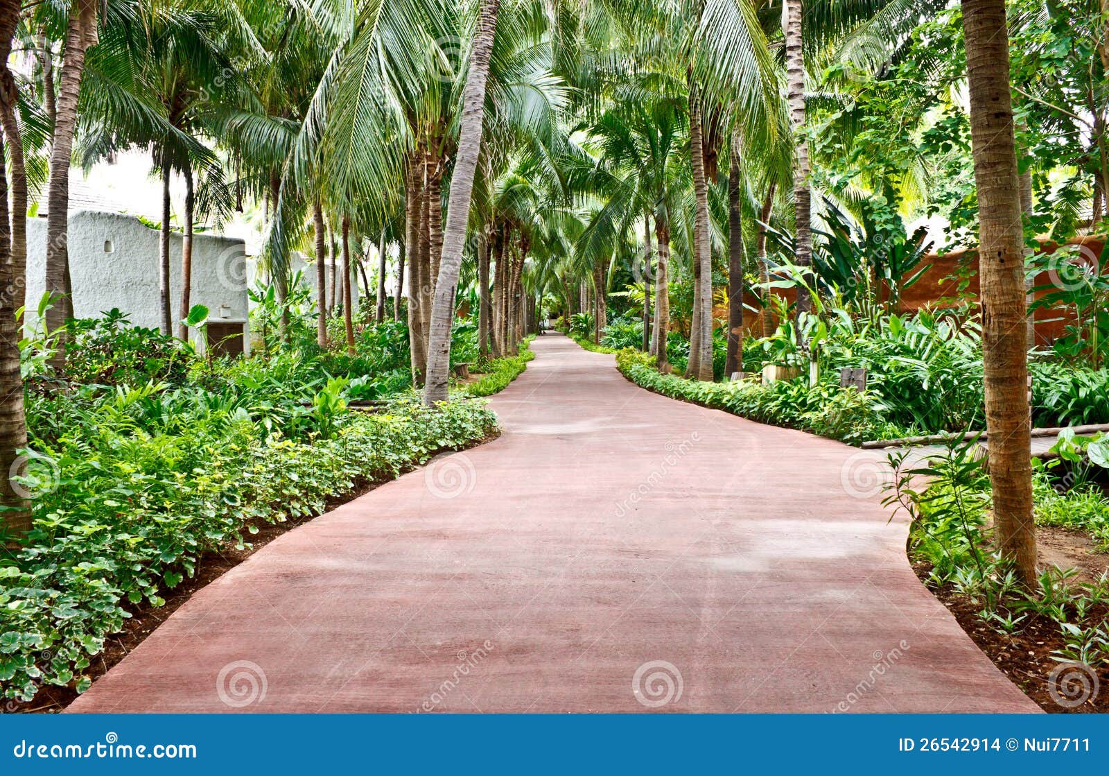 Walkway in the Tropical Garden 3 Stock Photo - Image of outdoor ...